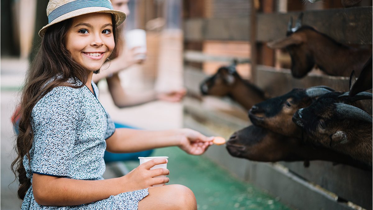 Eagle Global – Building a better future for Zimbabwe's Agriculture